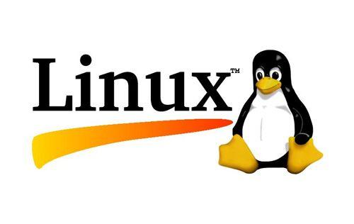 QuizApi - Top 10 Common Interview Linux Questions